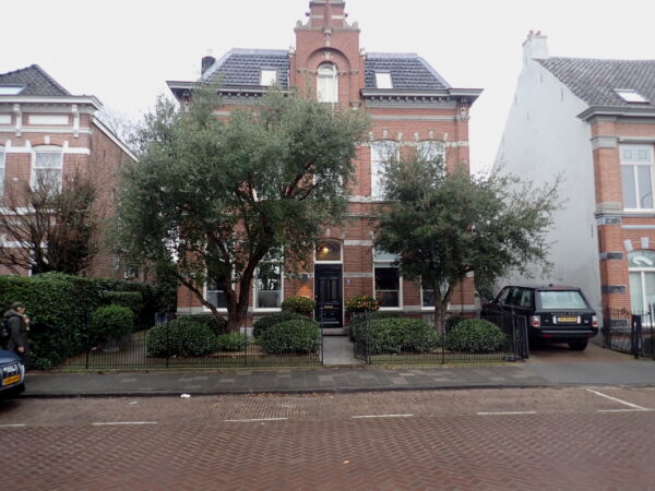 Struikelen over steeneik – Stadsplanten: urbane flora van Nederland